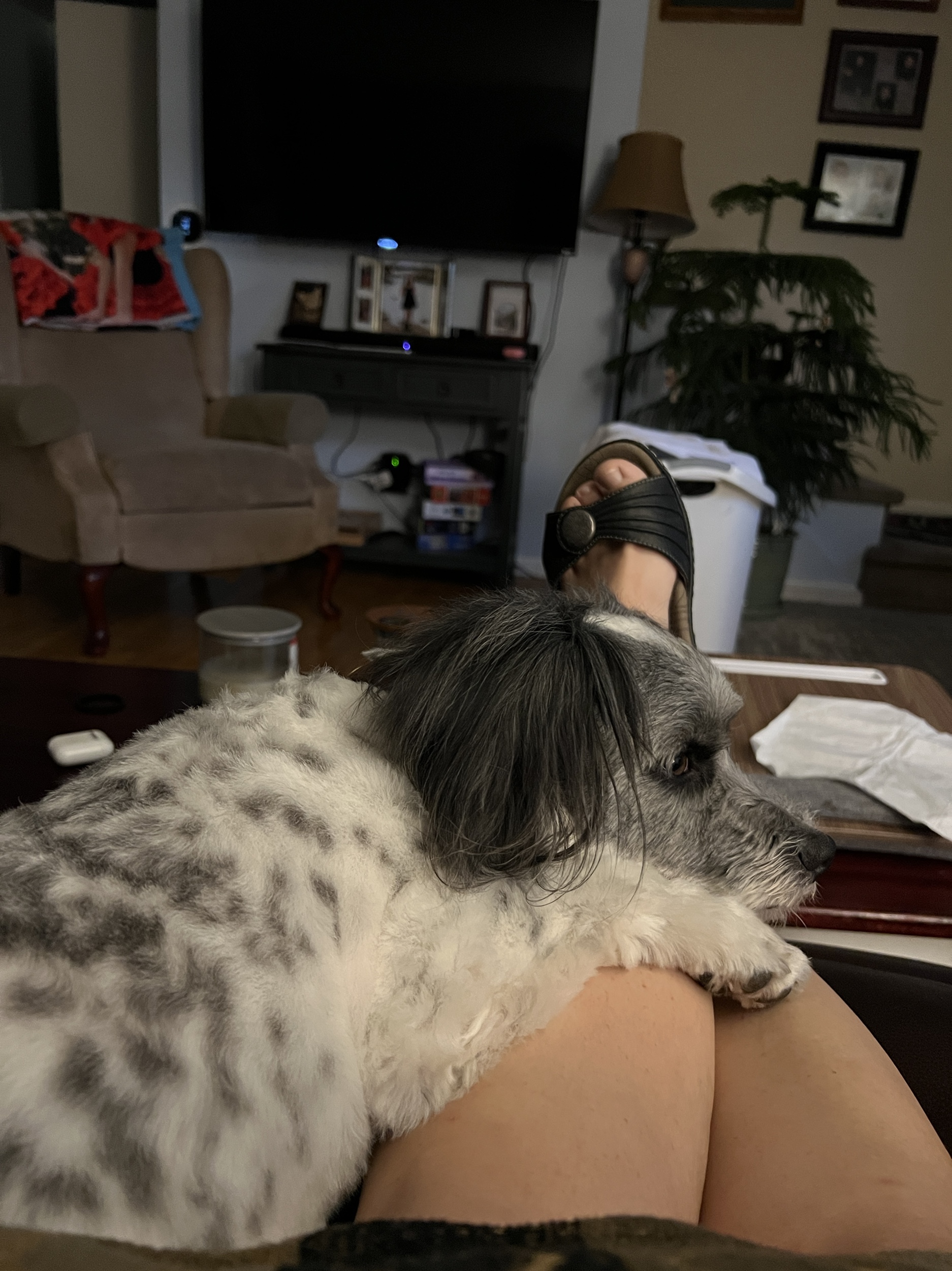 Lockout | Step Write Up