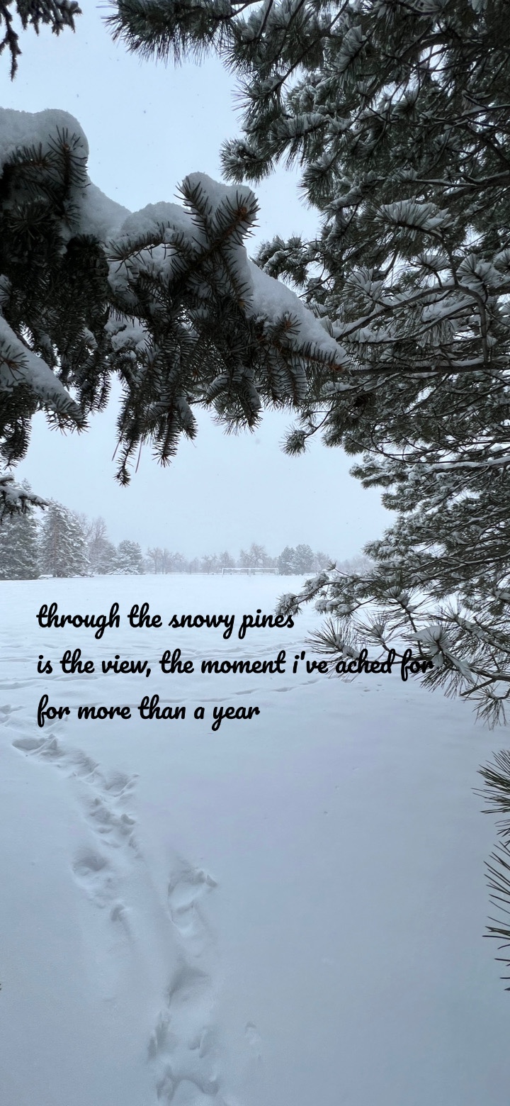 As Bright As Snow | Step Write Up